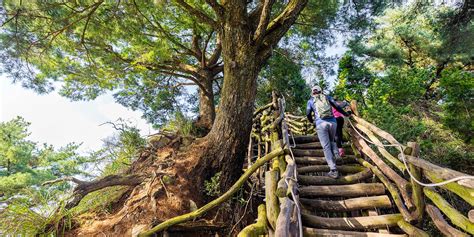 Hiking Trailstaichung Tourism