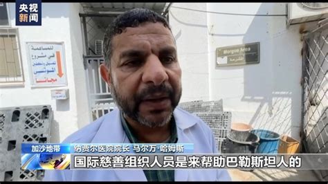 7名国际慈善组织工作人员遭以军袭击死亡新闻频道中国青年网