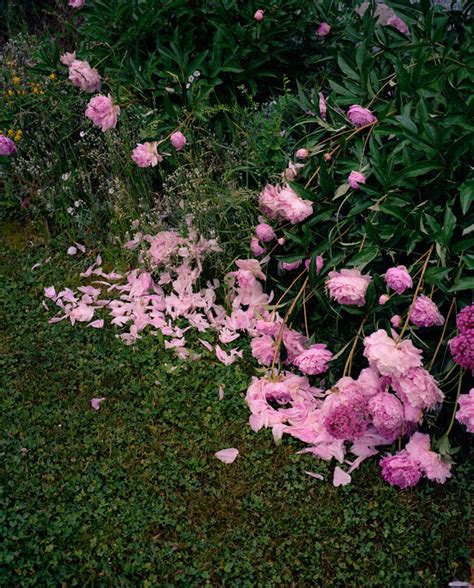 Thérèse Verrat And Vincent Toussaint Phases Magazine