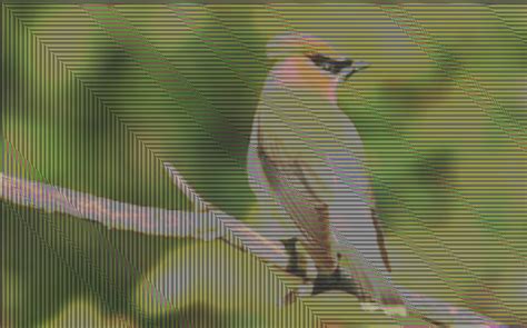 Android Fail Result When I Convert Java Code To C Code Stack Overflow