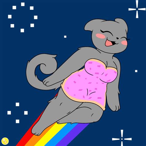 Rule 34 Flying Furry Happy Nyan Cat Rainbow 5219849