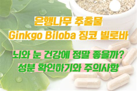 은행나무 추출물 징코 빌로바 효능 및 부작용 주의사항 네이버 블로그