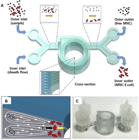 3d‐printed Microfluidic Inertial Focusing Device For Bacteria Download Scientific Diagram