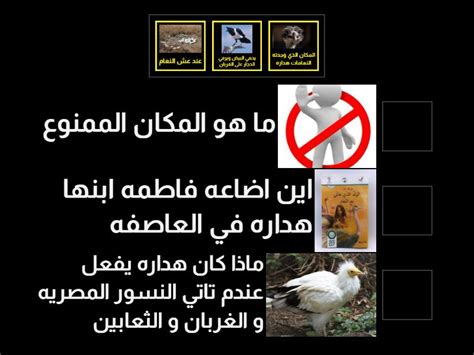 الولد الذي عاش مع النعام 1 2024 Match Up