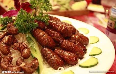 鲁菜山东菜摄影图 其他 餐饮美食 摄影图库 昵图网