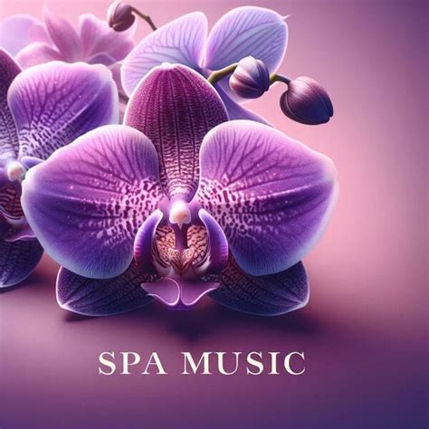 Spa Music Relaxing Binaural Frequencies For A Full Body Massage Spa