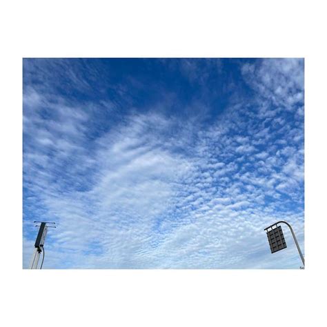 吉田羊さんのインスタグラム写真 吉田羊instagram「good Morningguys 空ポスト（不定期）」10月24日 8時03分 Yoshidayohofficial