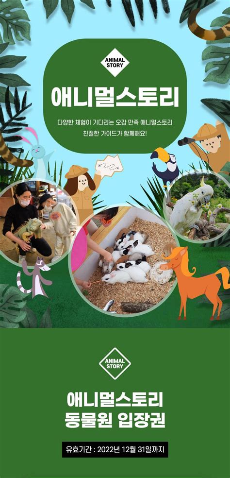 [강릉] 애니멀스토리 최저가 액티비티 인기상품 Nol