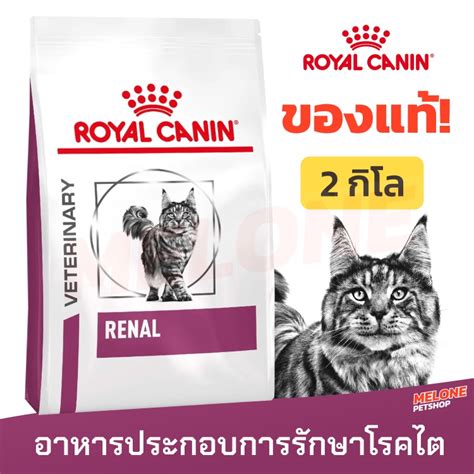 หมดอายุ 112023 Royal Canin รอยัล คานิน Renal อาหารแมว ประกอบการ
