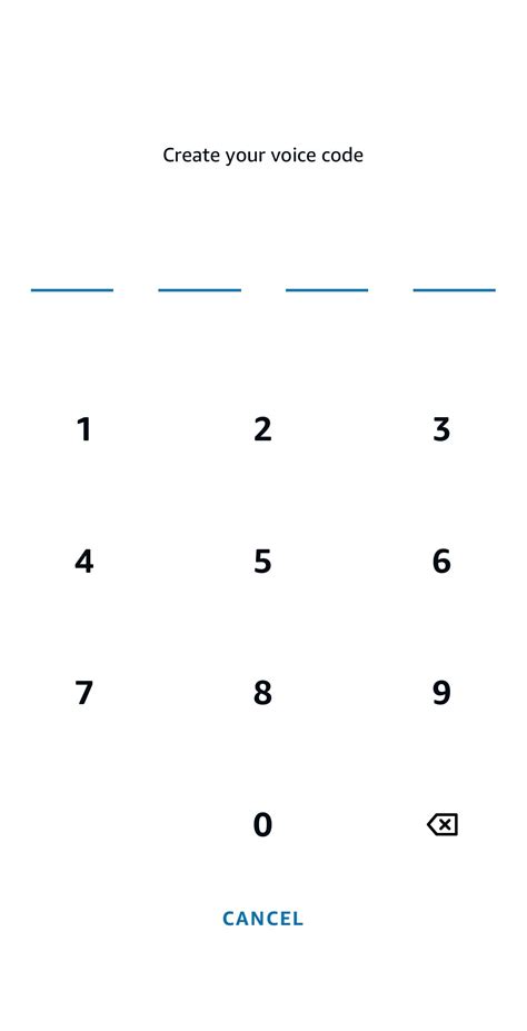 How To Set Up Alexa For Blink Devices Nvr Ipcamera Security