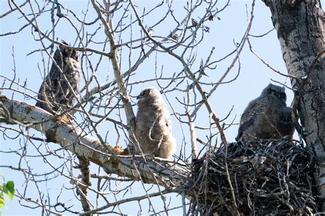 Pointers To Fix Focusingoverexposure Issue Rsonyalpha