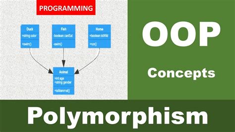 Polymorphism Explained With Fun Examples Polymorphism In Oop Youtube