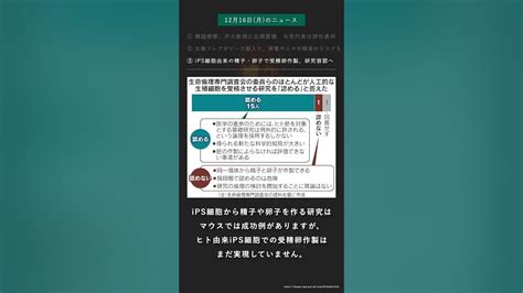 Ips細胞由来の精子・卵子で受精卵作製、研究容認へ 12月16日月のニュースまとめ③ ニュース 今日のニュース ニュースまとめ