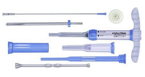 Acvs Phase Ii Chapter 73 Flashcards Quizlet