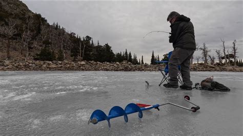 Catching Brook And Tiger Trout Early Ice Fishing First Ice Youtube