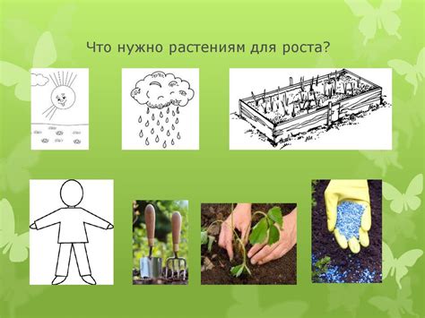 Влаголюбивые и засухоустойчивые растения для детей старшего дошкольного возраста презентация