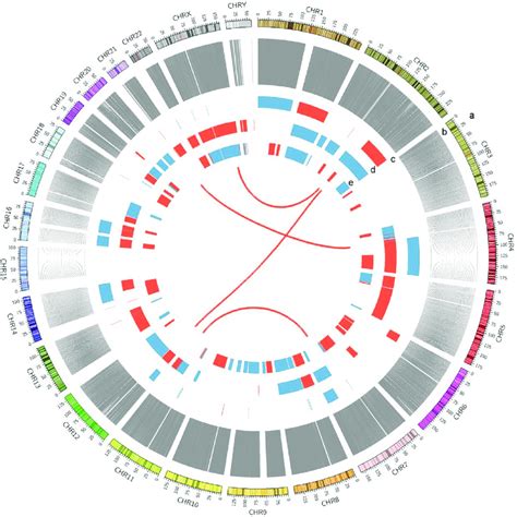 A Circos Plot Showing The Summary Of Somatic Genomic Alterations In The