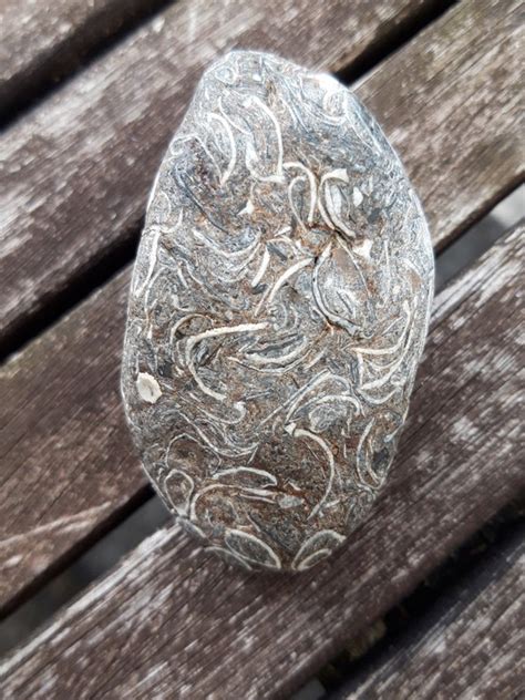 Sten Fra Stranden Naturbasen