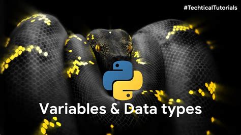 Python Variables Data Types YouTube