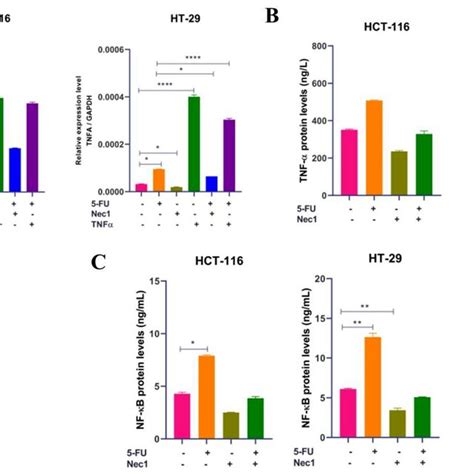 Induction Of Tnf α Mediated Necroptosis A Tnf α Mrna Expression Levels Download Scientific