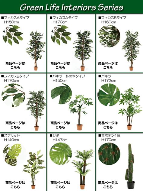 【楽天市場】観葉植物 インテリア 人工観葉植物 造花 人工 フェイク オフィスや自宅に手間のかからないフェイク観葉植物で緑を感じられます！ 水