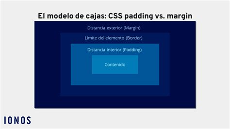 Padding Vs Margin Comparaci N De Elementos Css Ionos Mx