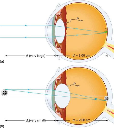 91 Physics Of The Eye Texas Gateway
