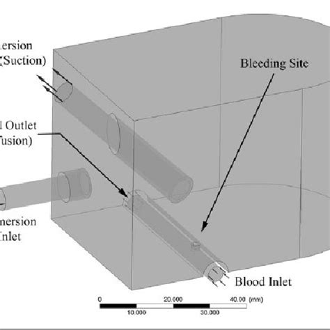 Bleeding And Perfusion At Varying Immersion Pressures And Flow Rates
