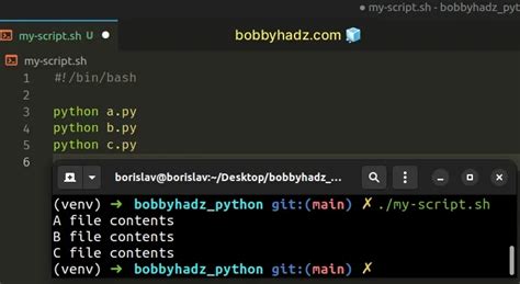 Run Multiple Python Files Concurrently One After The Other Bobbyhadz