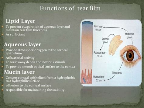 Tear Film Test
