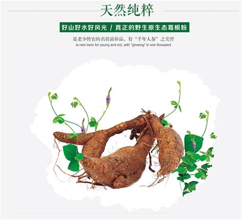 葛是上饶人贡献给中华文明的瑰宝！“中国葛都”之“正葛堂” 知乎