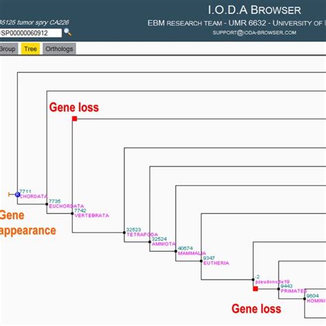 Detection Of Gene Gain And Loss In Phylogroups Note Example Of Gulo