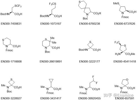 天然氨基酸周期表 知乎