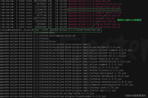 三十八大数据实战Atlas元数据管理平台的部署安装 apache atlas CSDN博客