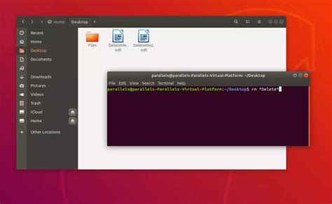 How To Delete Files In Linux IONOS
