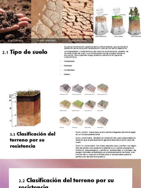Guía Completa Sobre Características Y Tipos De Suelos Uneb