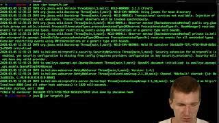 GitHub AdamBien Helidon Vs War Sample Microprofile Application Used To Compare The