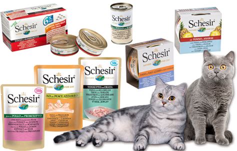 Schesir (Шезир) корм для кошек: отзывы, влажный, для стерилизованных ...