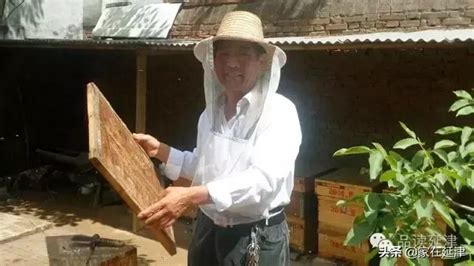 延津本土養蜂人呂士林 每日頭條