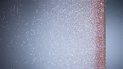 Electrolux Microplastic Filters To Protect The Planet Electrolux Malaysia