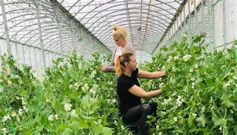 28 De Julio Presentación Del Programa Cultiva22 Para Estancias