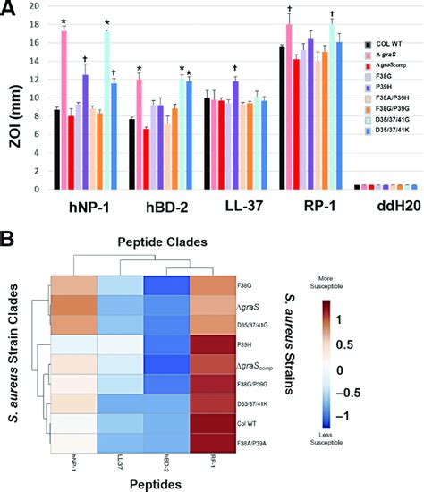 In Vitro Susceptibilities Of The Ha Mrsa Col Strain Set To Hnp 1
