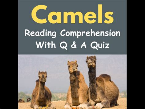 Camels Reading Comprehension Questions With Answers Quiz Test