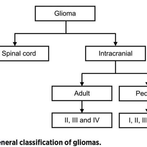 General Classification Of Gliomas Download Scientific Diagram