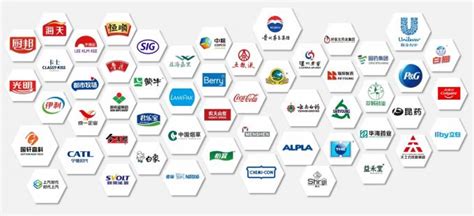 Pulp Molding Paper Cup Lid Vision Inspection Machine With Ai Deep Learning Algorithm