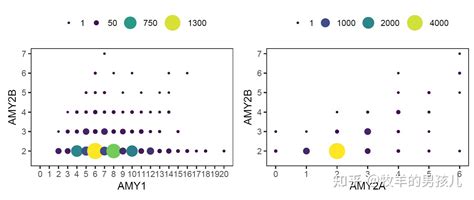 跟着nature学作图r语言ggplot2气泡图展示amy基因拷贝数 知乎