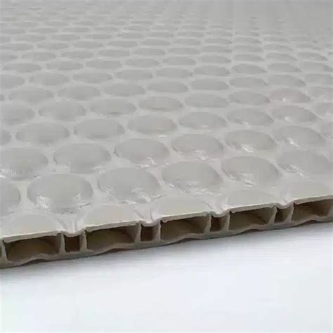 Pp Bubble Guard China Pp Honeycomb Board Manufacturer