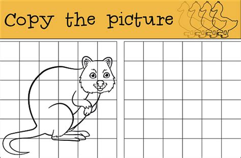 교육 게임 그림을 복사합니다 작은 귀여운 Quokka 미소 검은색에 대한 스톡 벡터 아트 및 기타 이미지 검은색 교육