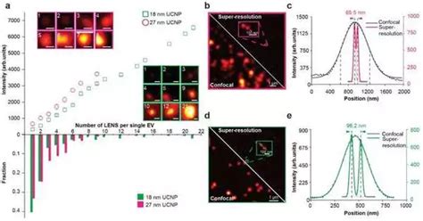 Quantification Of Single Tiny Extracellular Vesicles At Super Resolution Qs Papers