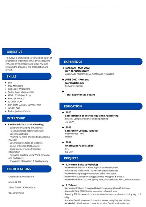 9223 Software Engineer Srisattva Group